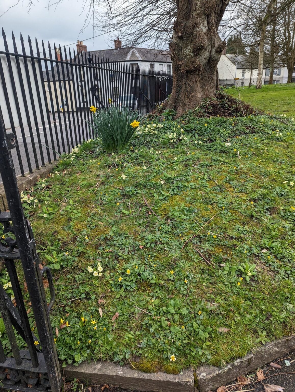 Church of St Mary the Virgin, Chard | Welcoming Everyone
